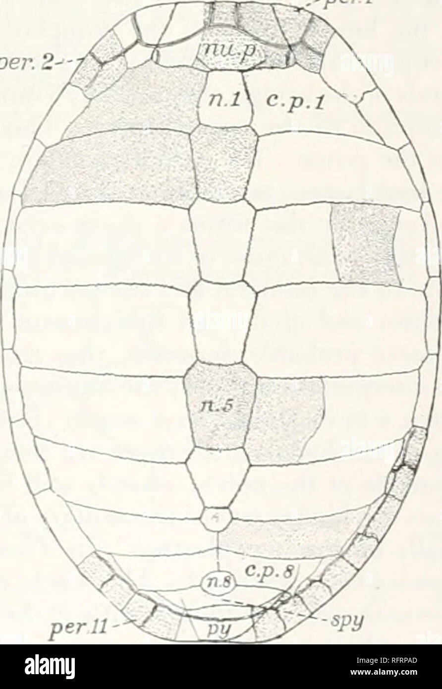 Marginal lettering hi-res stock photography and images - Alamy