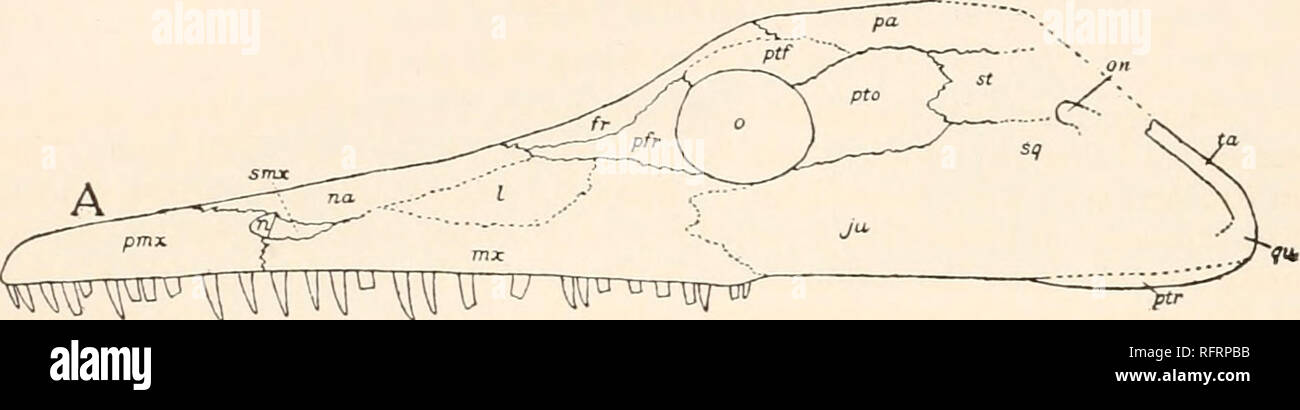 . Carnegie Institution of Washington publication. i6 PERMO ...