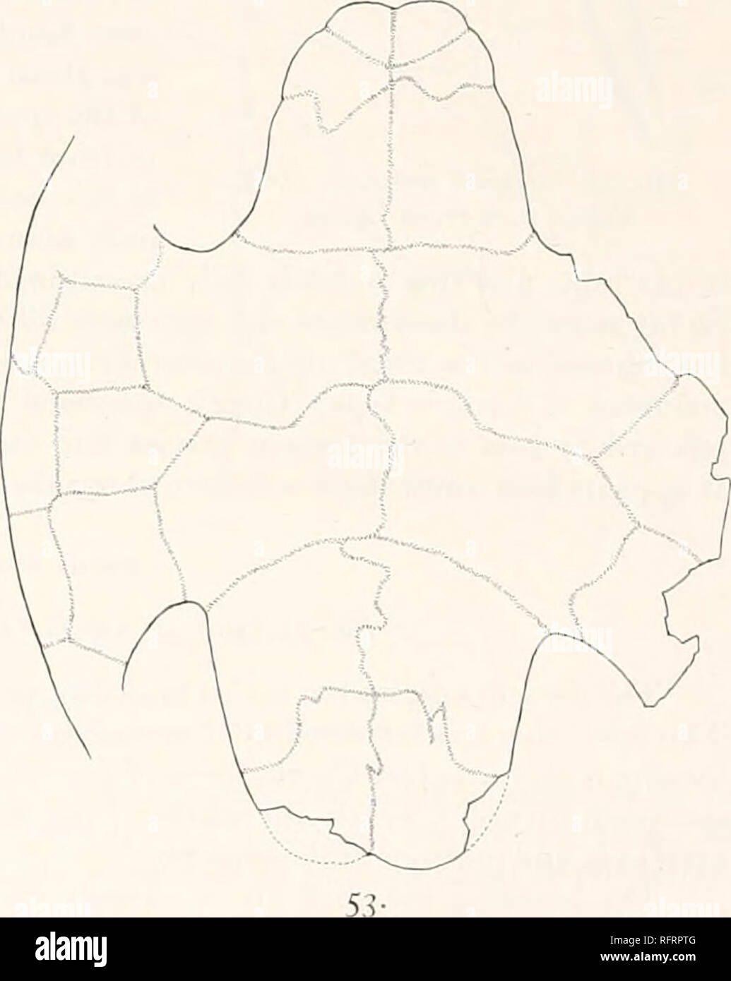 Sima Of The Bones High Resolution Stock Photography and Images - Alamy