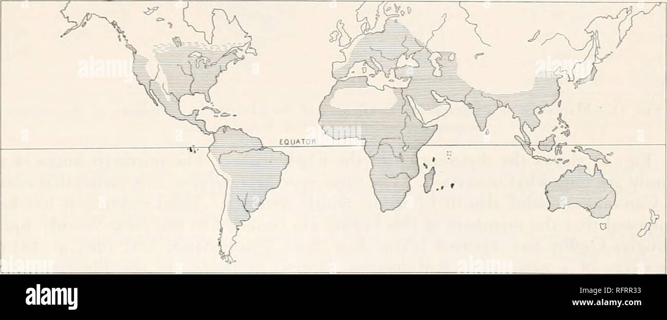 Turkestan range hi-res stock photography and images - Alamy