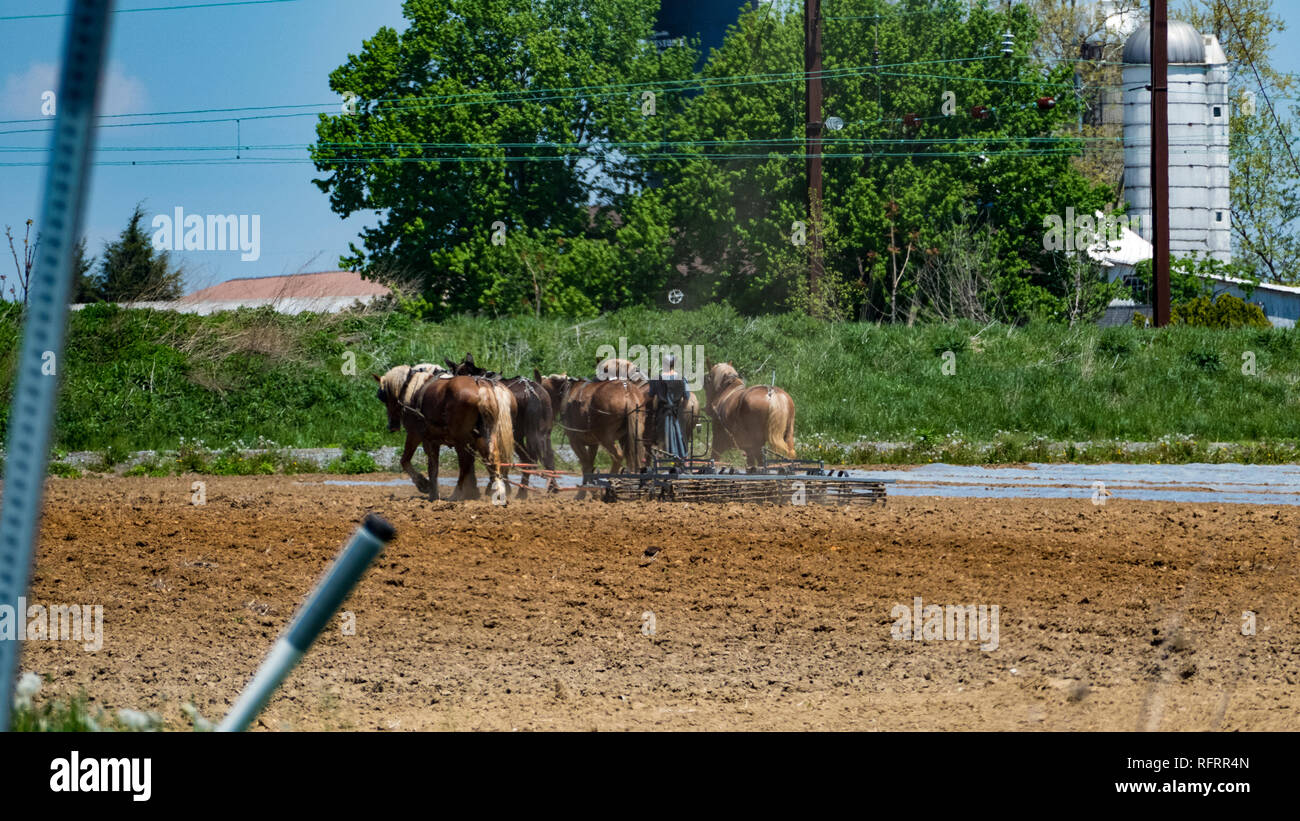 Woman Plowing High Resolution Stock Photography and Images - Alamy