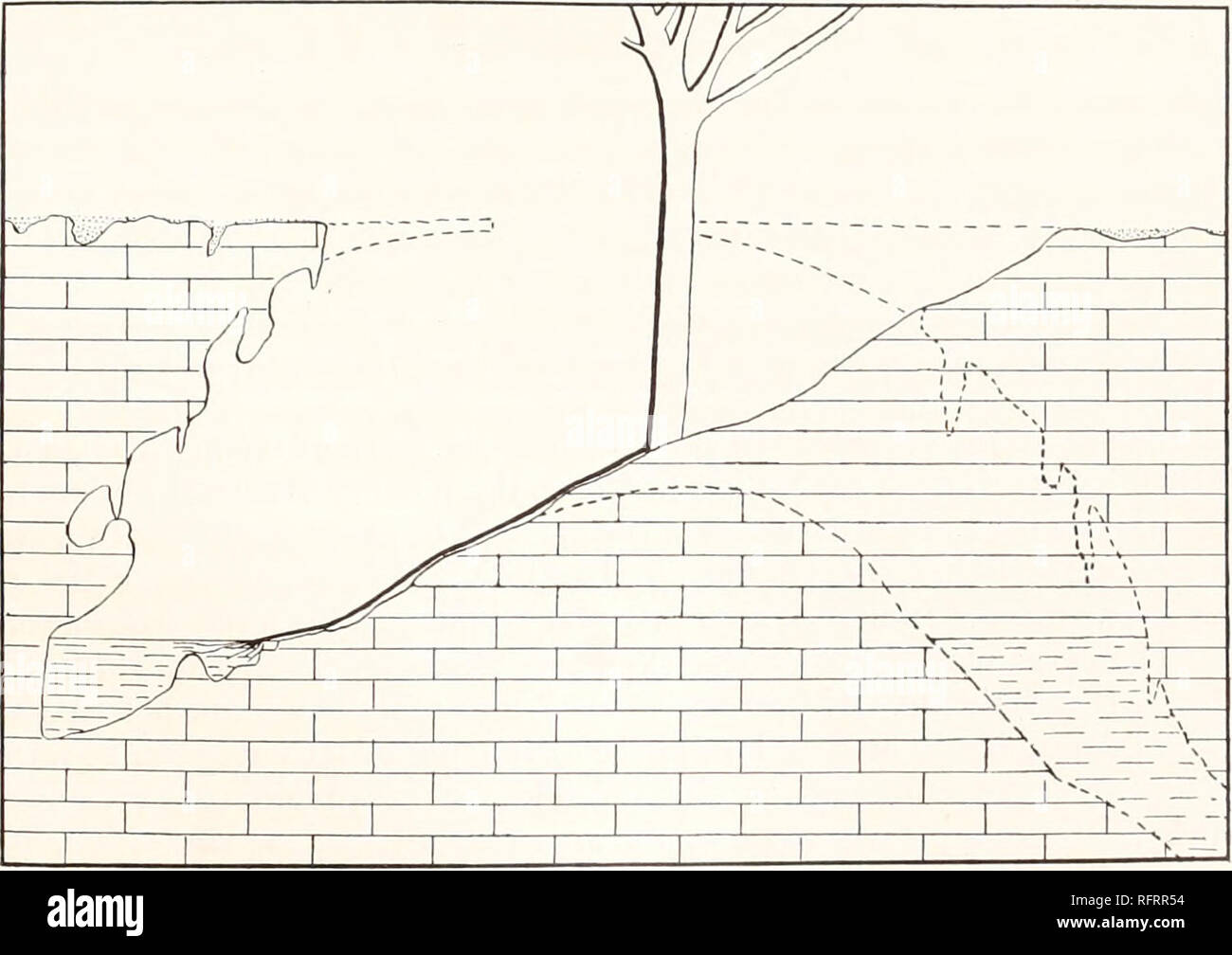 . Carnegie Institution of Washington publication. Fl°- 6"- Diagram of ...