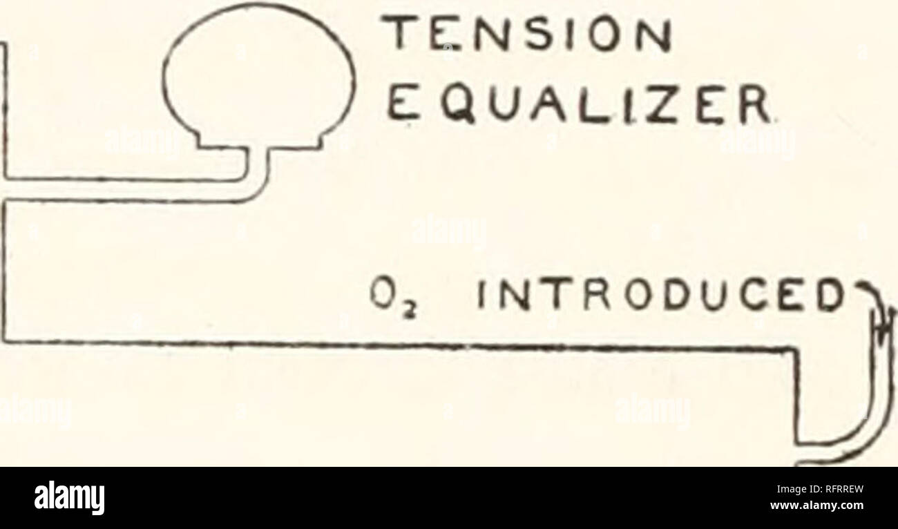 . Carnegie Institution of Washington publication. GENERAL DESCRIPTION ...