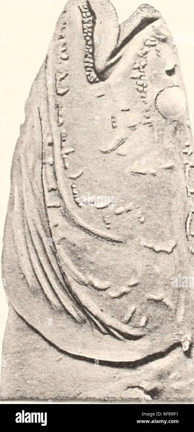 . Carnegie Institution of Washington publication. B. D Photographs of ...