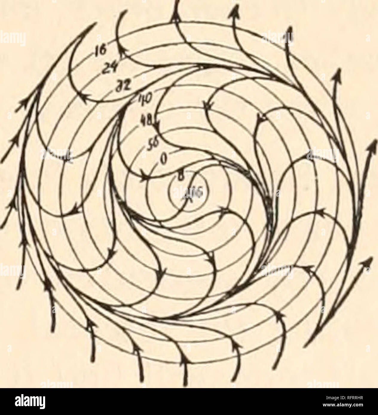 . Carnegie Institution of Washington publication. . Fig. 58.—Closed ...