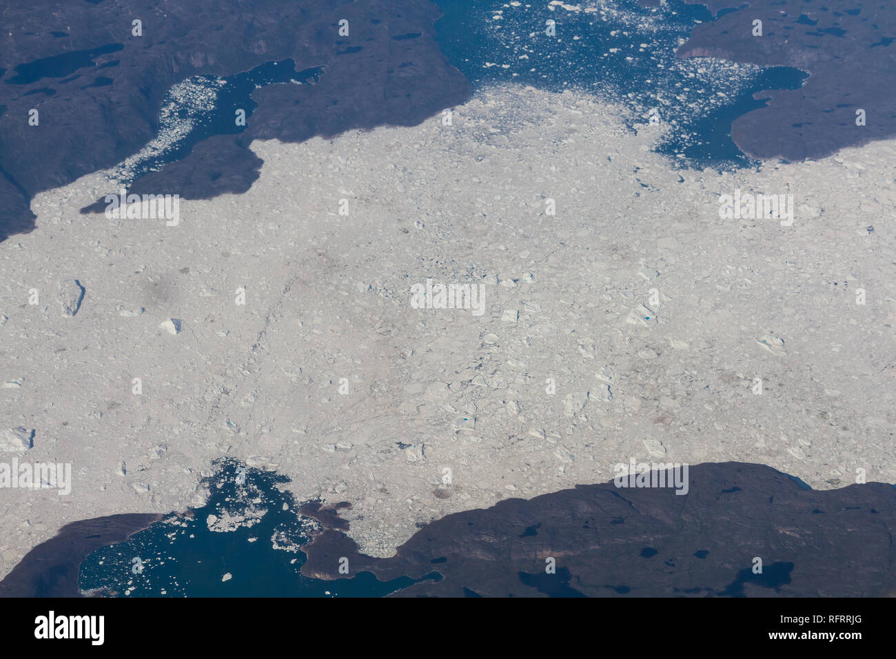 Greenland Wolf High Resolution Stock Photography and Images - Alamy