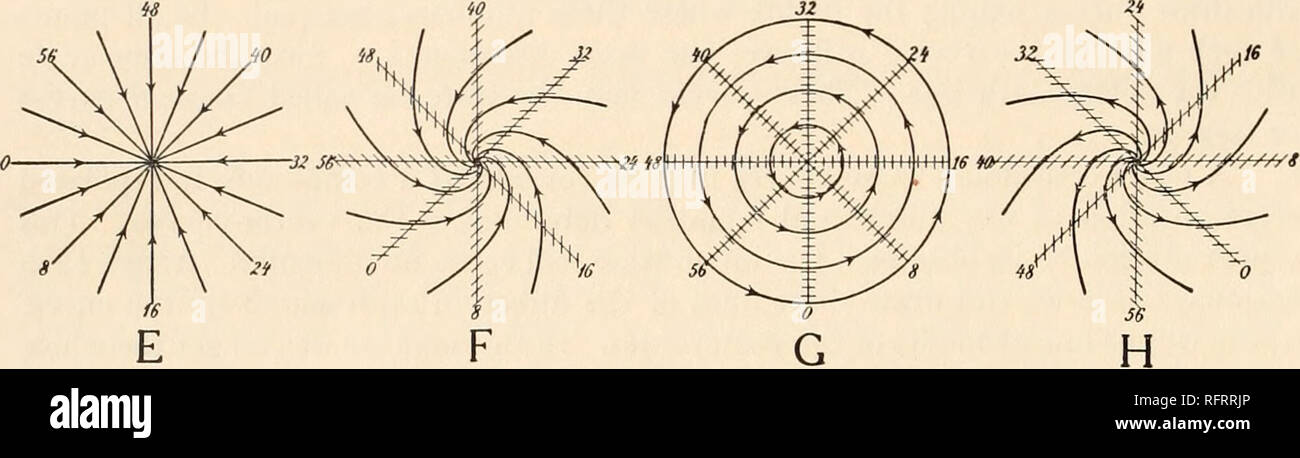 . Carnegie Institution of Washington publication. . Fig. 56.—Positive ...