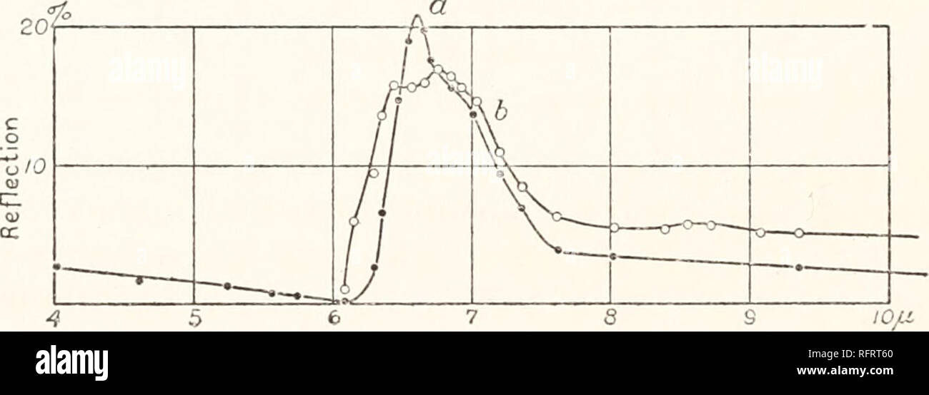Hi 5 band hi-res stock photography and images - Alamy