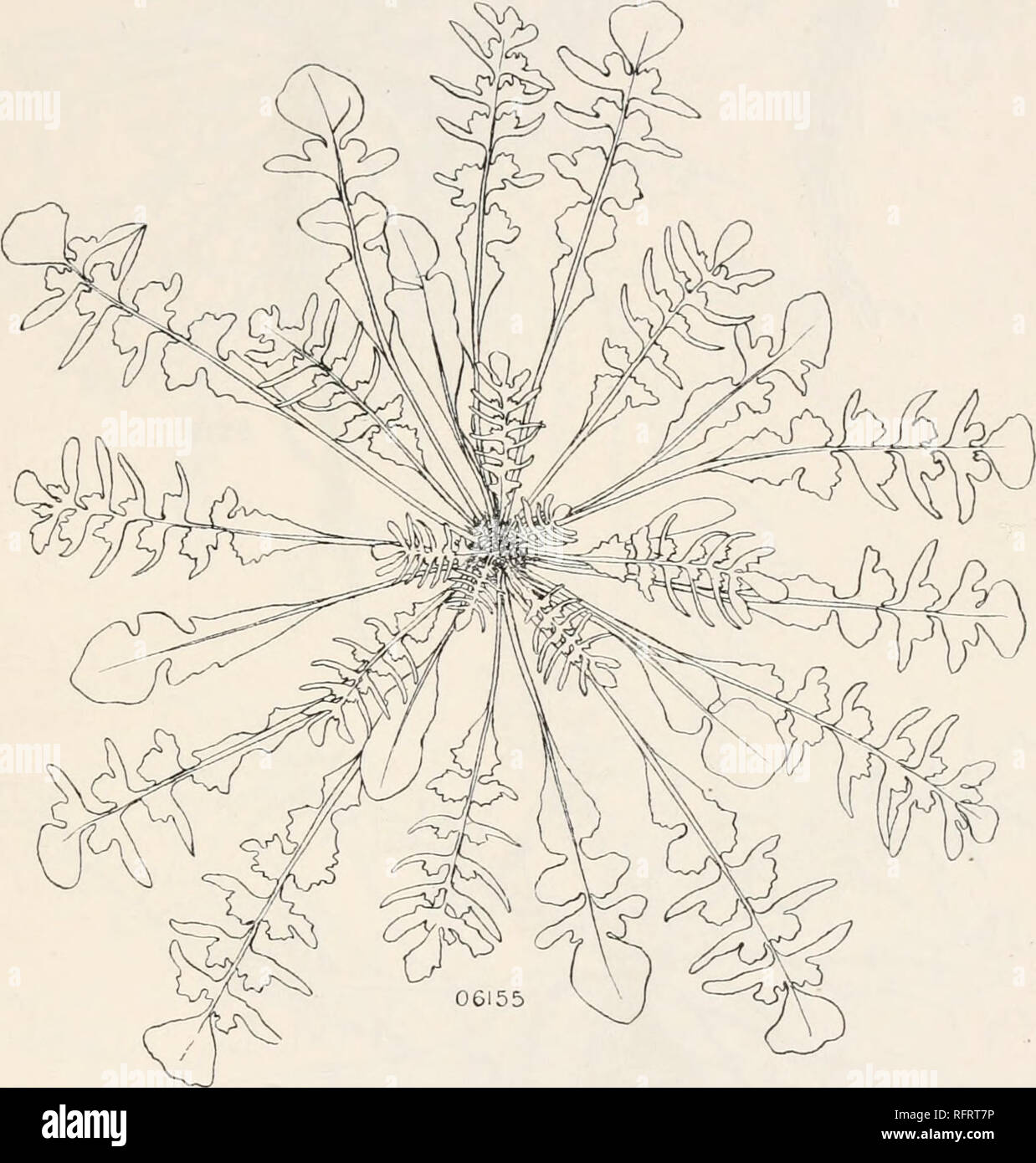 Biotypes hi-res stock photography and images - Alamy