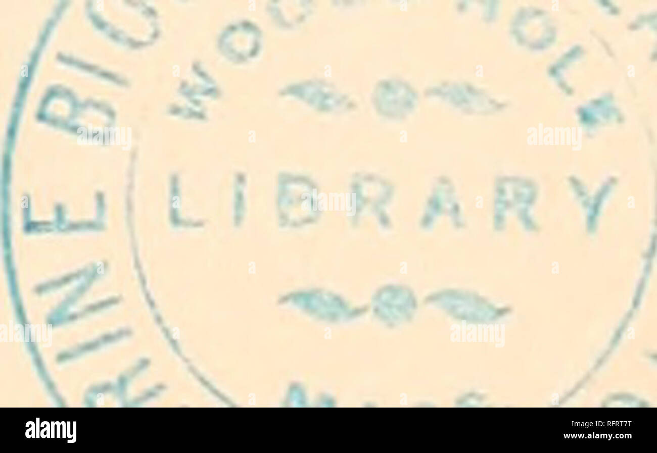 Hydrostatic equilibrium hi-res stock photography and images - Alamy