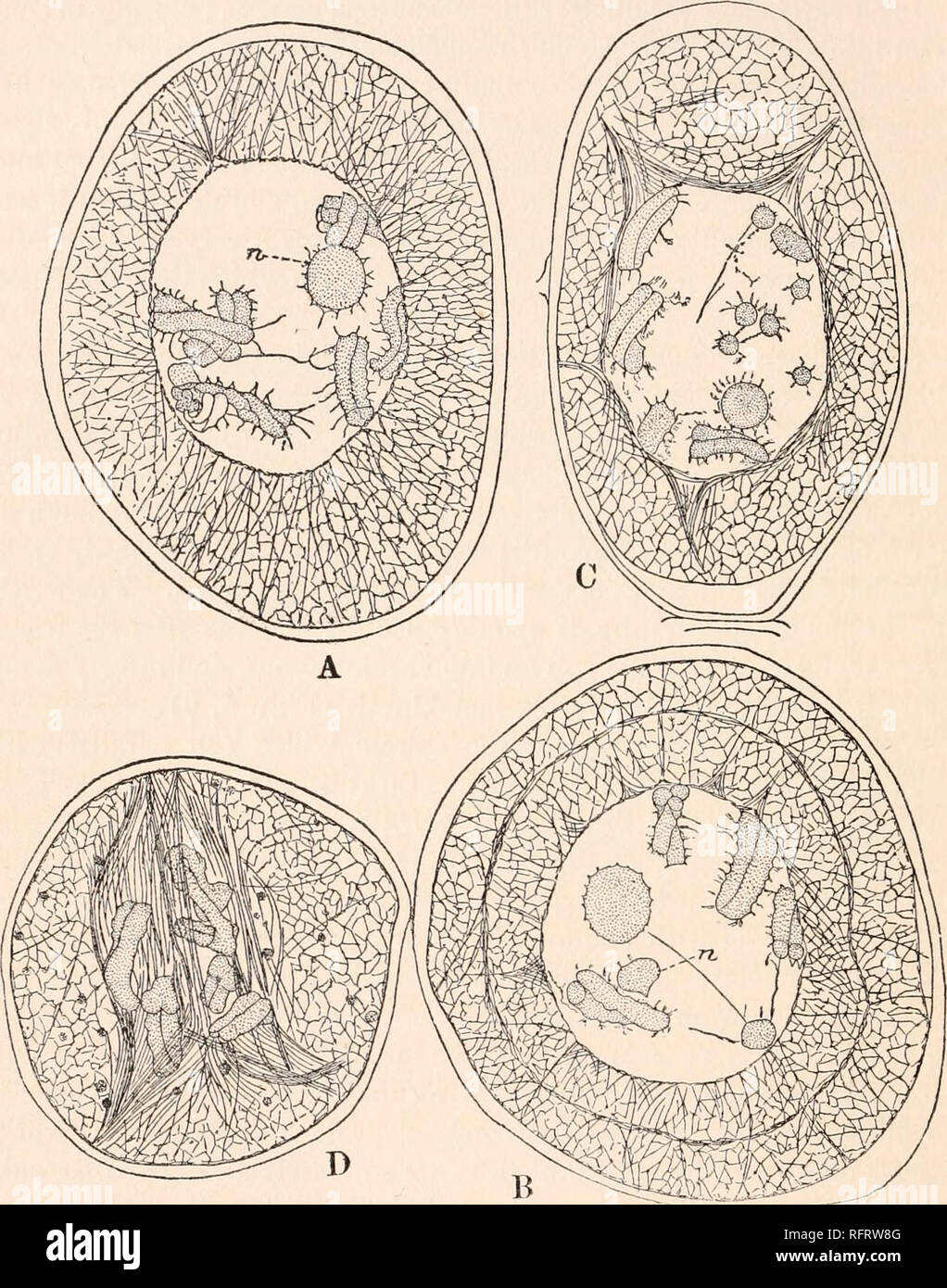 . Carnegie Institution of Washington publication. INTRODUCTION. ing ...