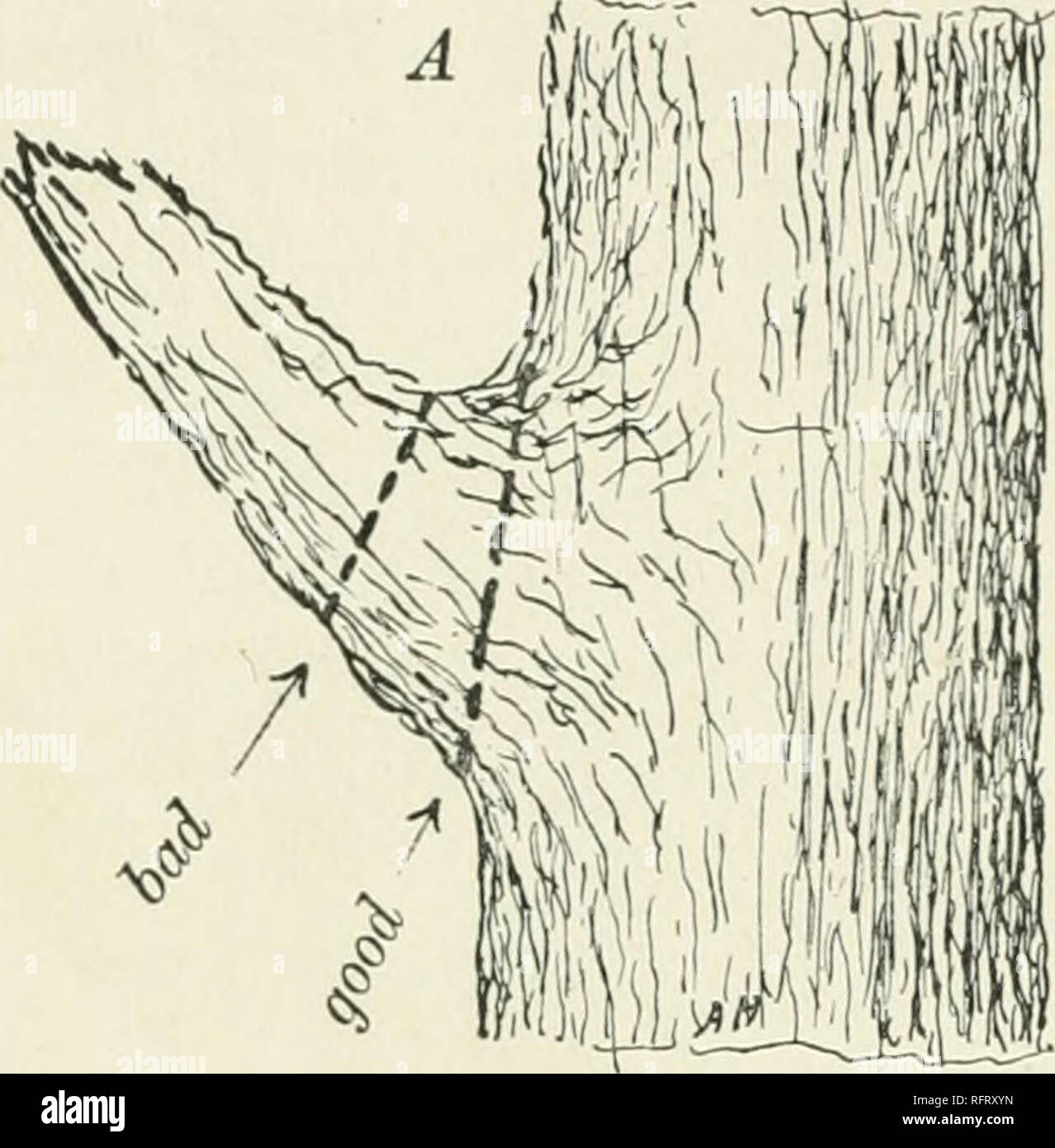 Lacerated wound hi-res stock photography and images - Alamy
