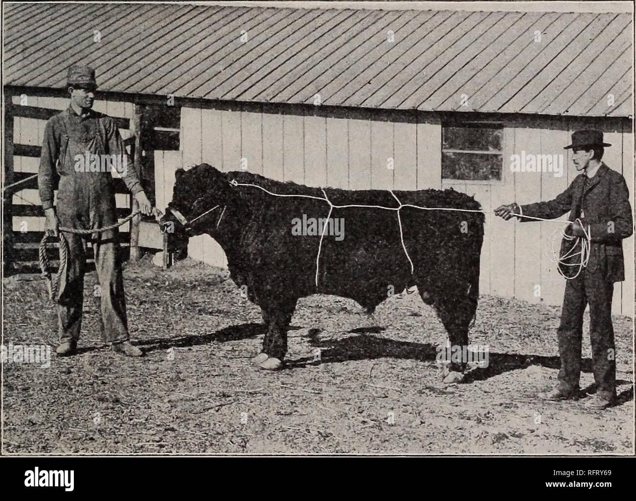 Using chloroform hi-res stock photography and images - Alamy