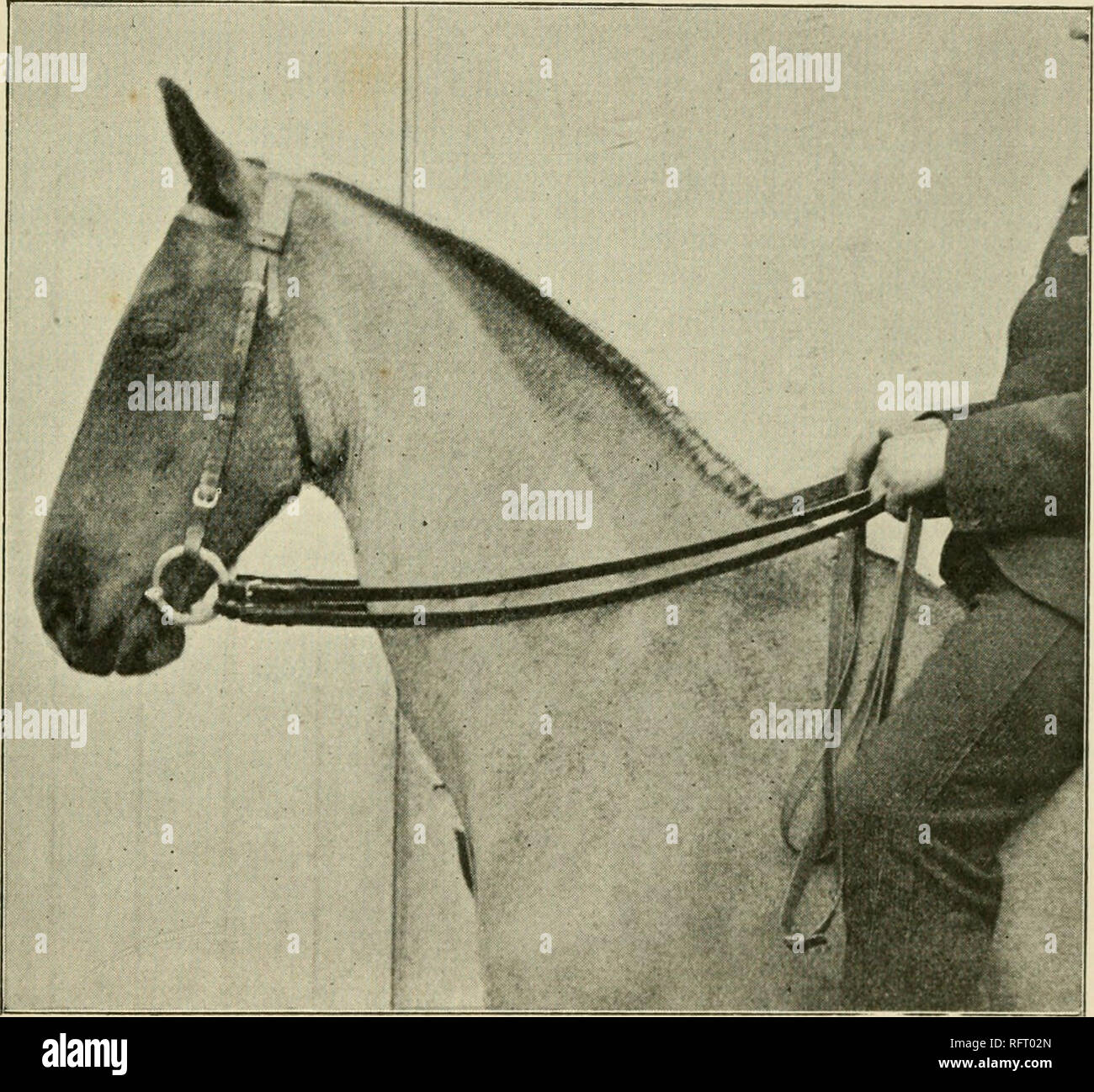 Offered lamb hi-res stock photography and images - Alamy