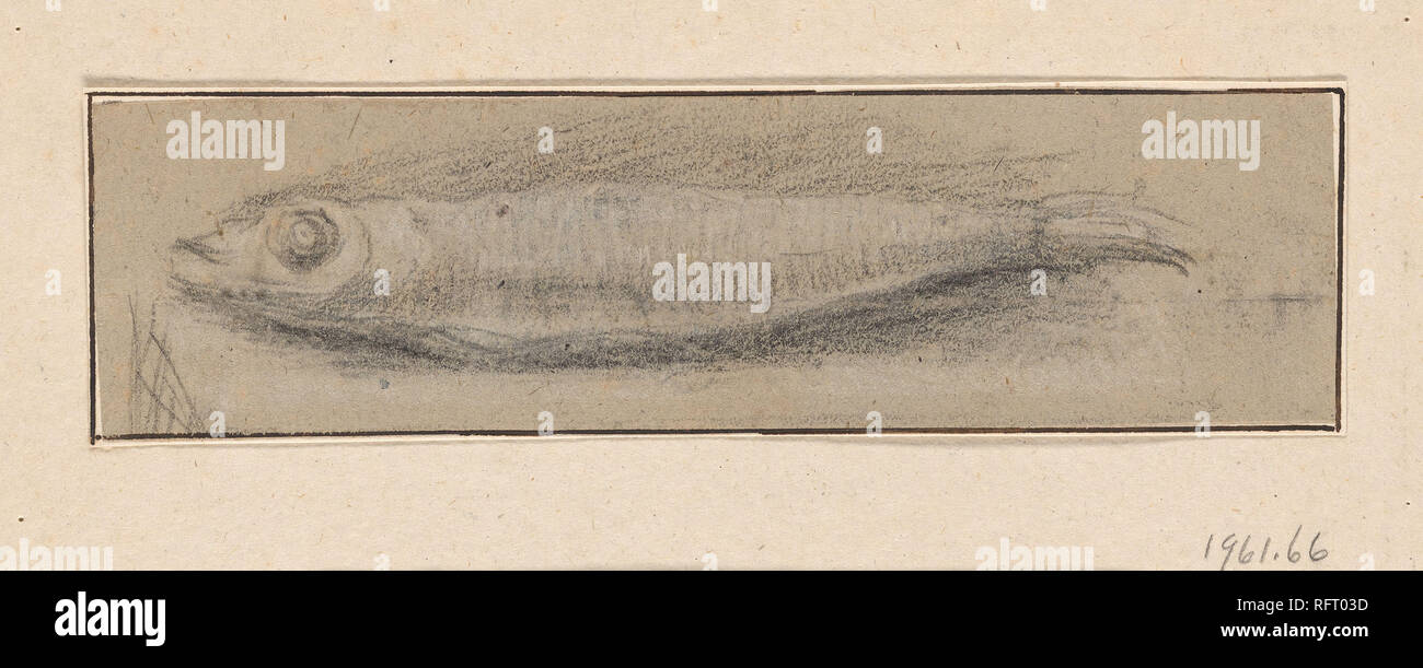 Natural elements 17th century hi-res stock photography and images - Alamy