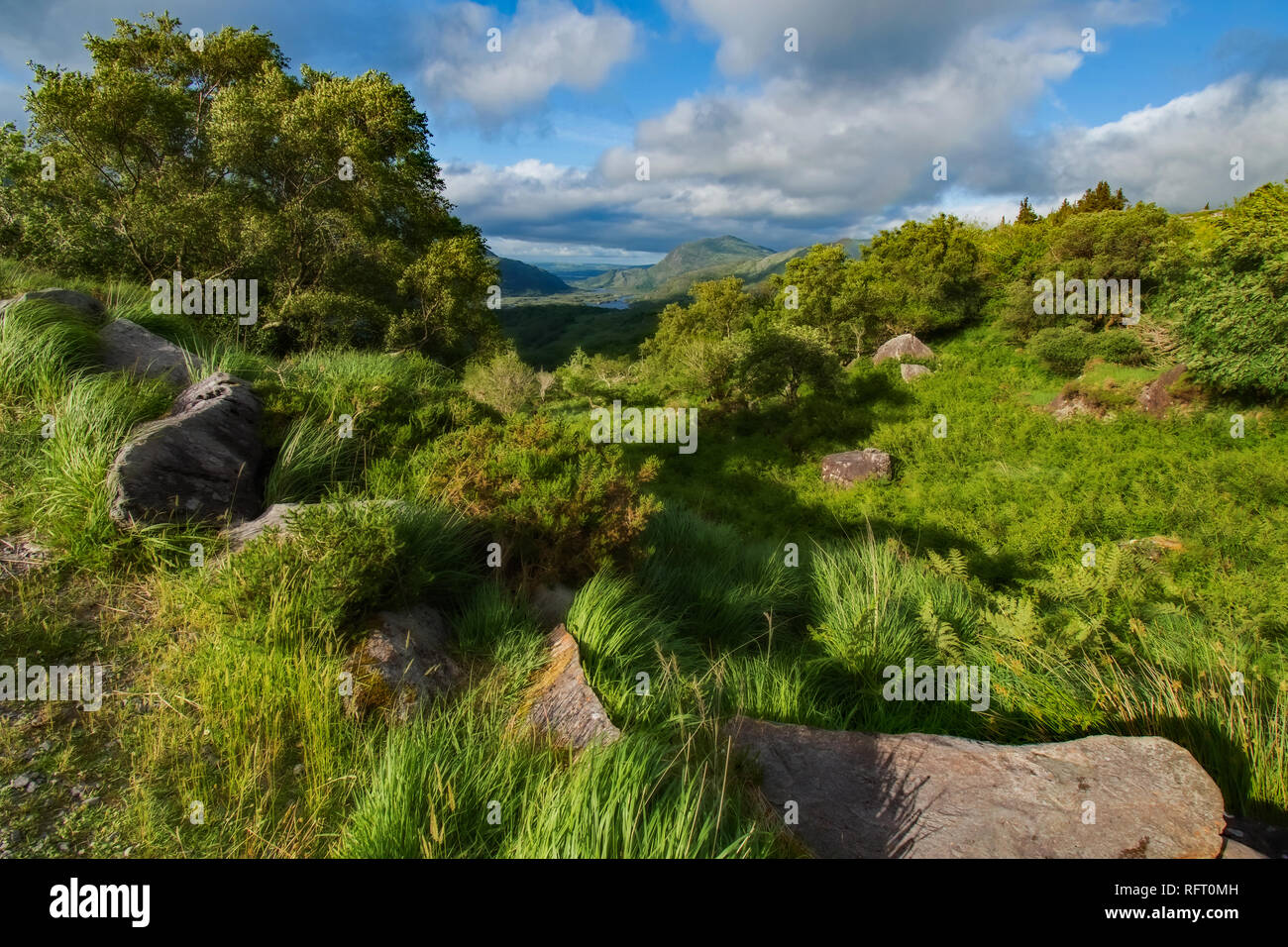 Ladies view hi-res stock photography and images - Alamy