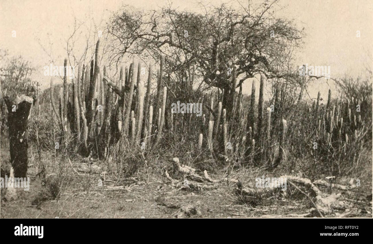 Paul haworth hi-res stock photography and images - Alamy