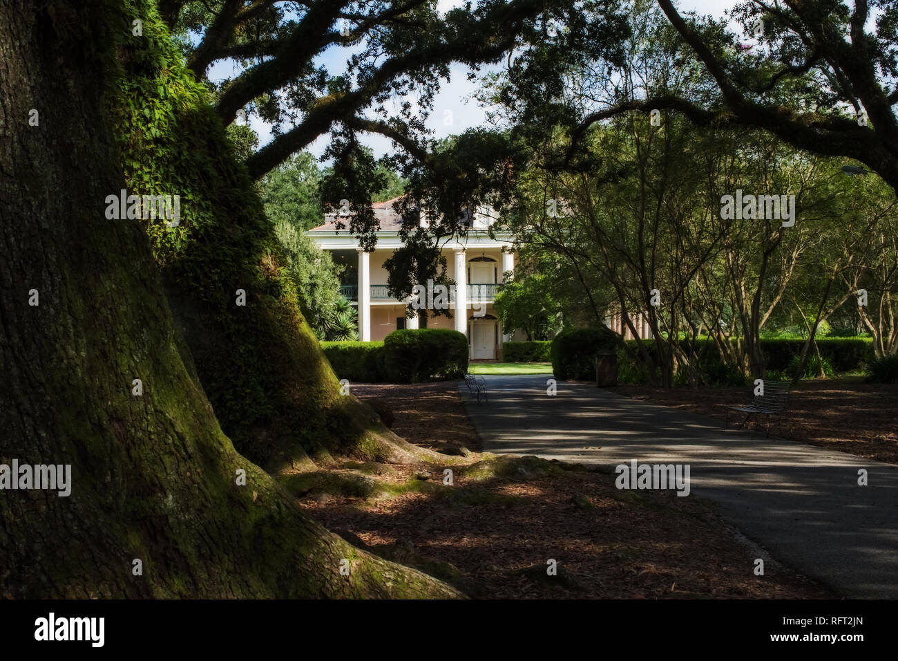 Oak Alley Plantation Stock Photo - Alamy