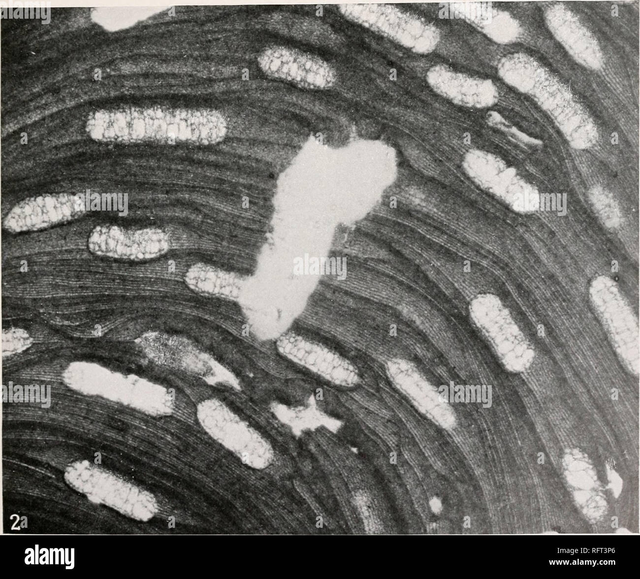 Showing struc hi-res stock photography and images - Alamy