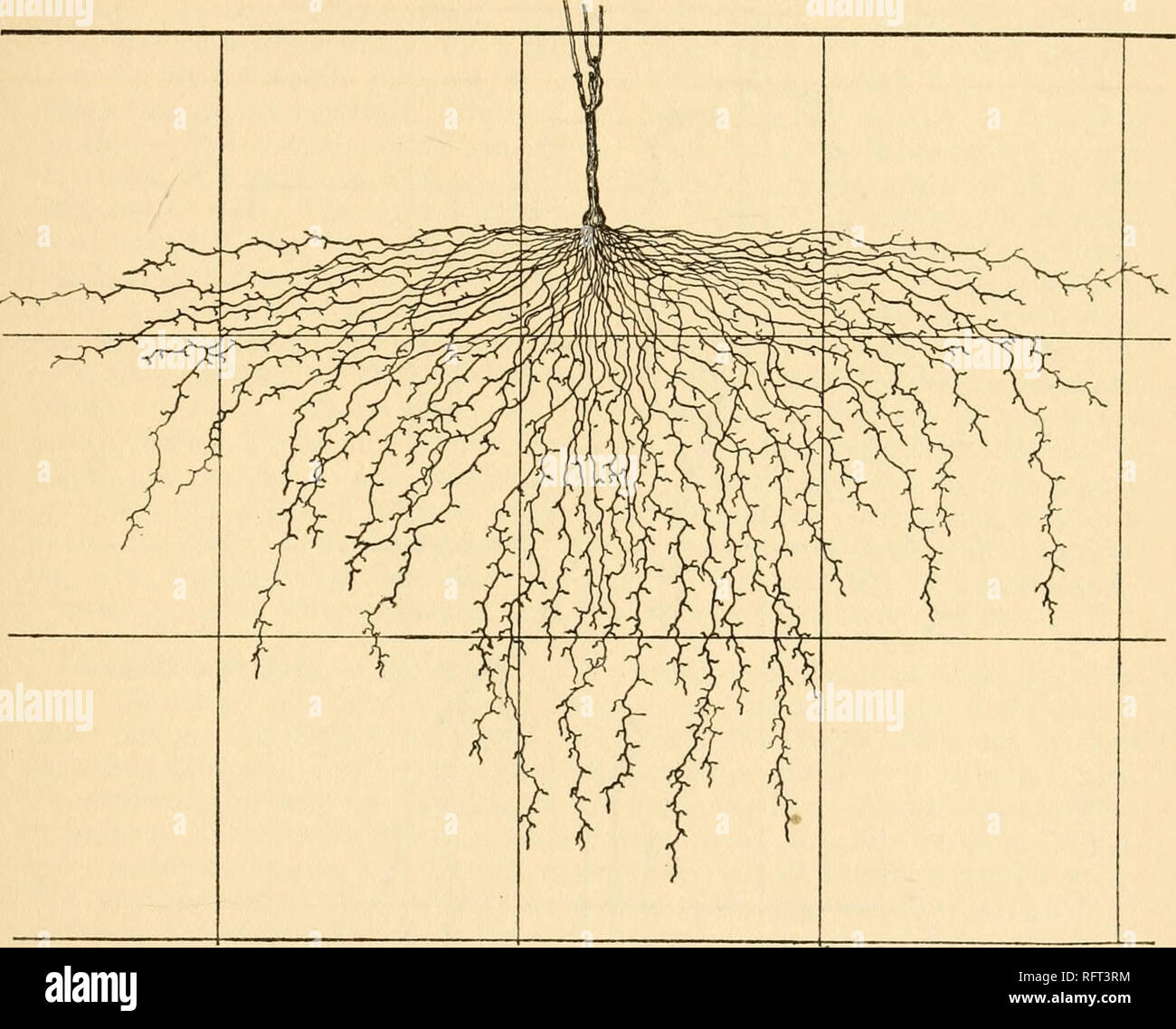 Inches and centimeters system hi-res stock photography and images - Alamy