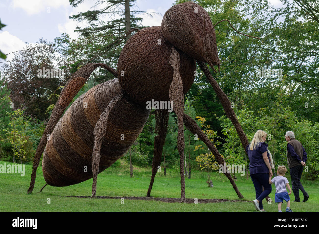 Giant willow woven giant-sized Honey Bee with people walking underneath ...