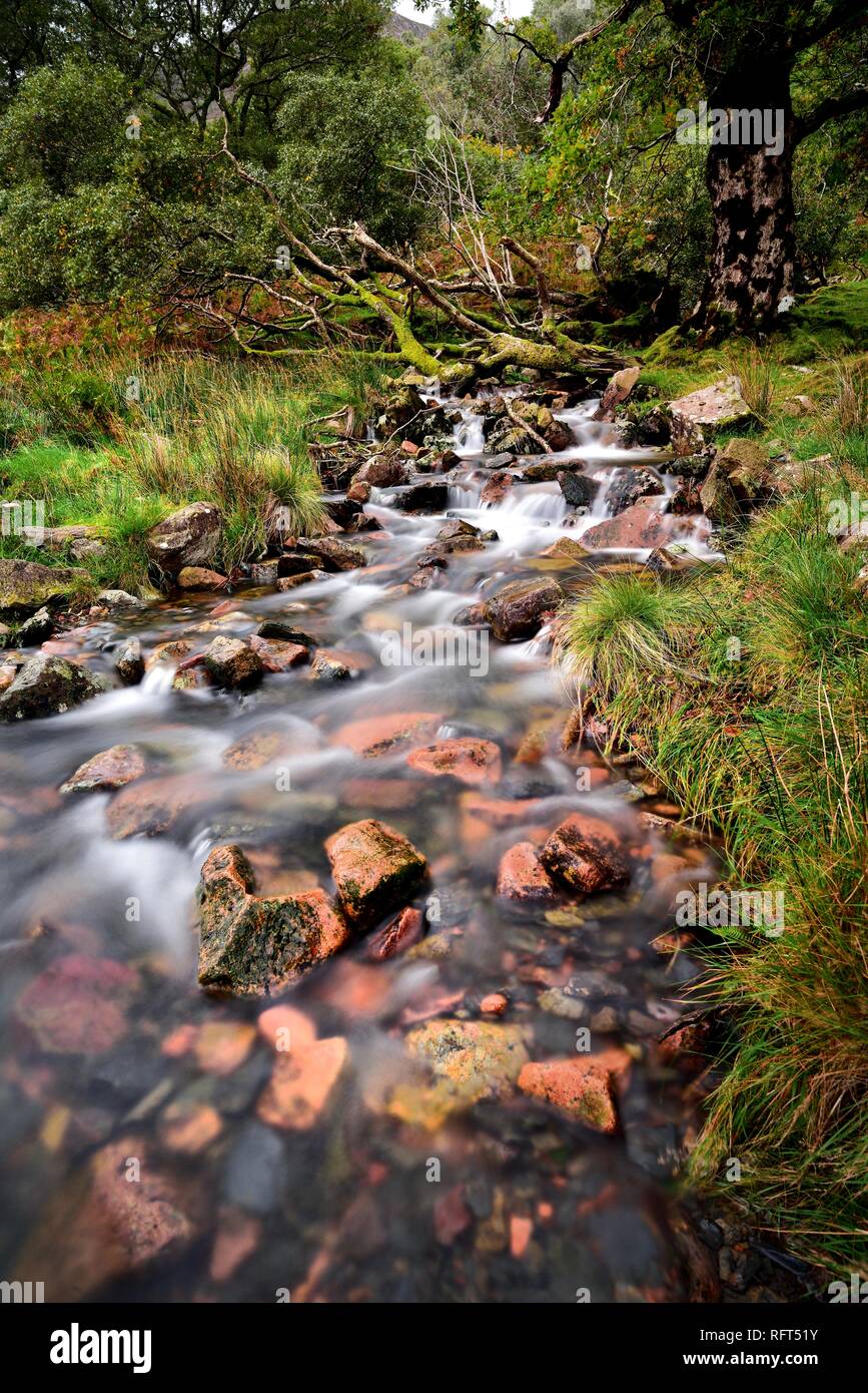 Fast flowing stream over the red sandstone rocks Stock Photo - Alamy