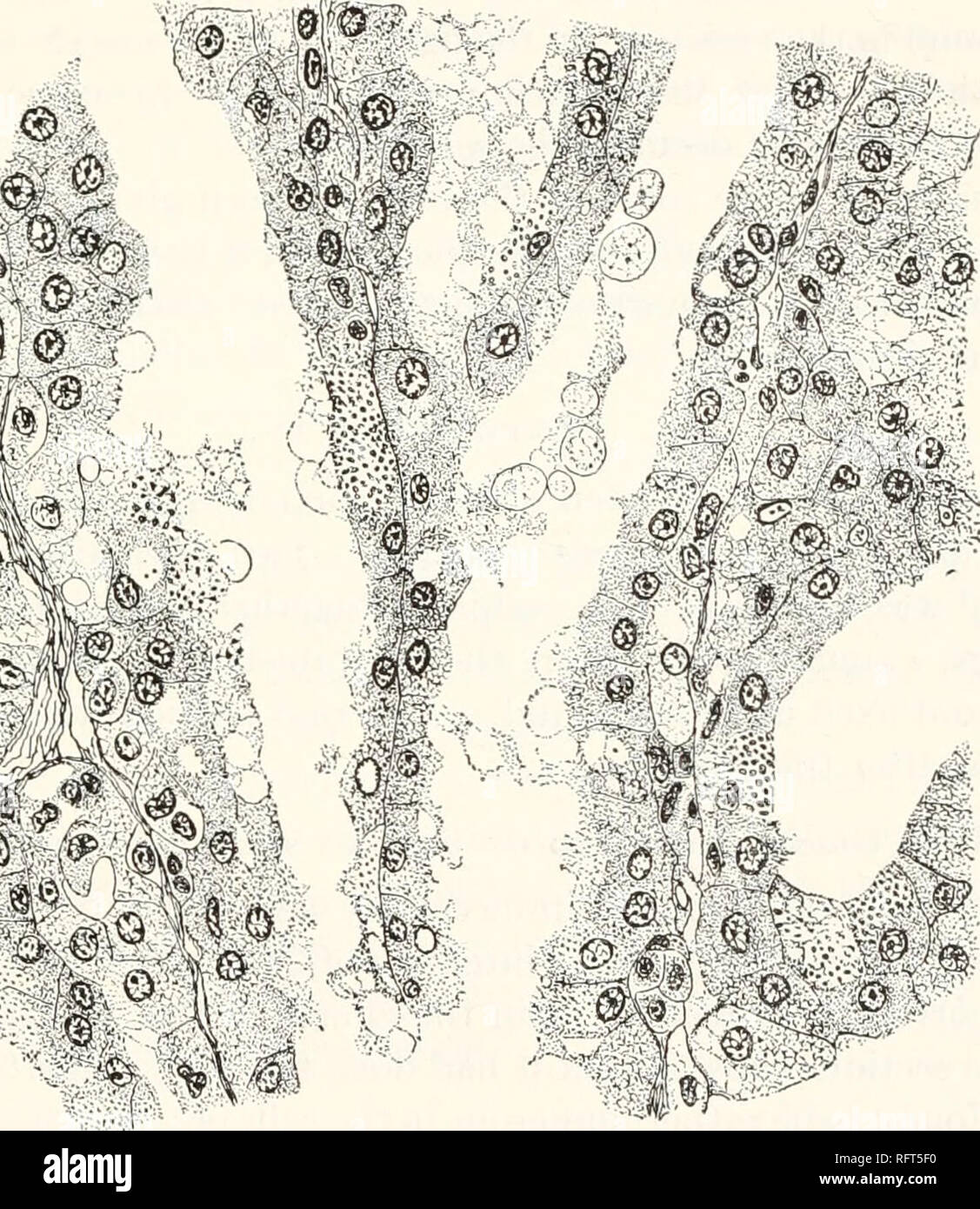 . Carnegie Institution of Washington publication. STRUCTURAL CHANGES IN ...