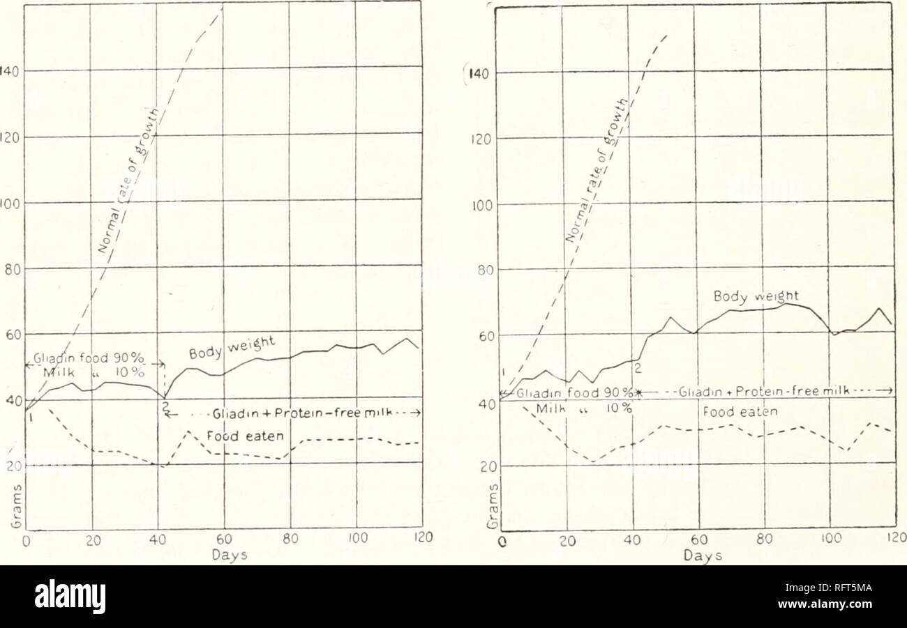 Table cviii hi-res stock photography and images - Alamy
