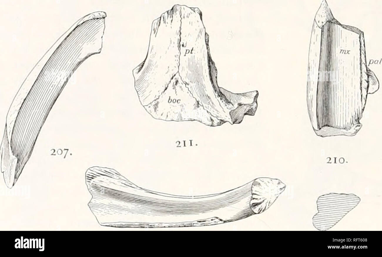 170 foot structure hi-res stock photography and images - Alamy
