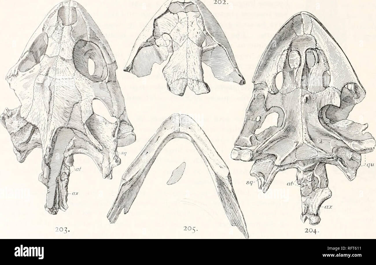 . Carnegie Institution of Washington publication. [68 FOSSIL TURTLES OF ...