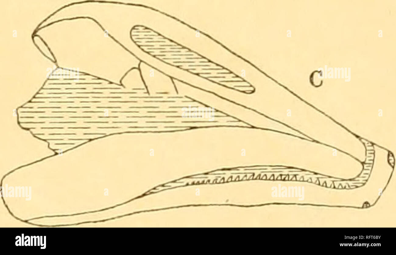 4551 2 hi-res stock photography and images - Alamy