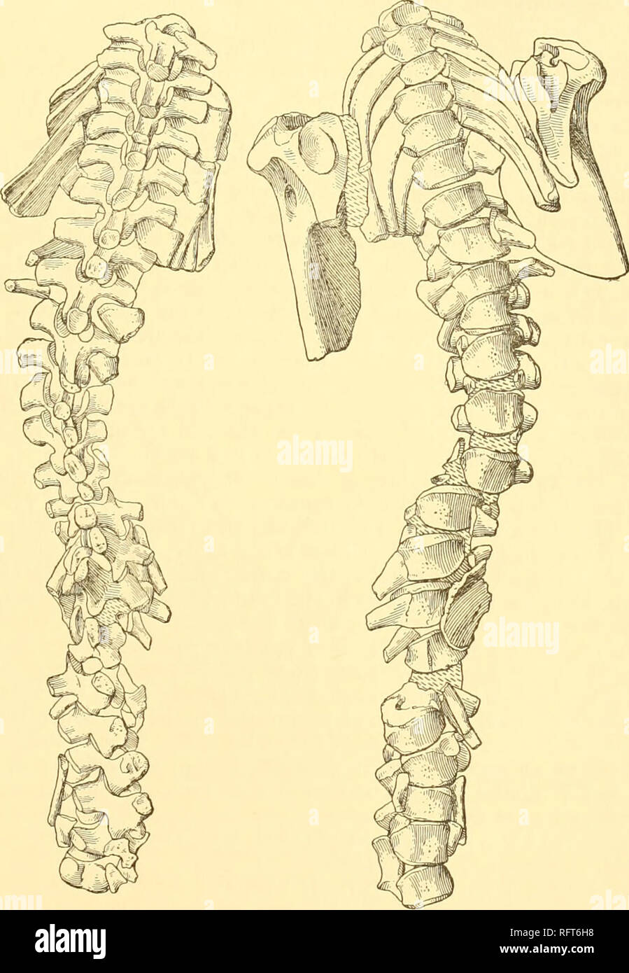 Position of prominence hi-res stock photography and images - Alamy