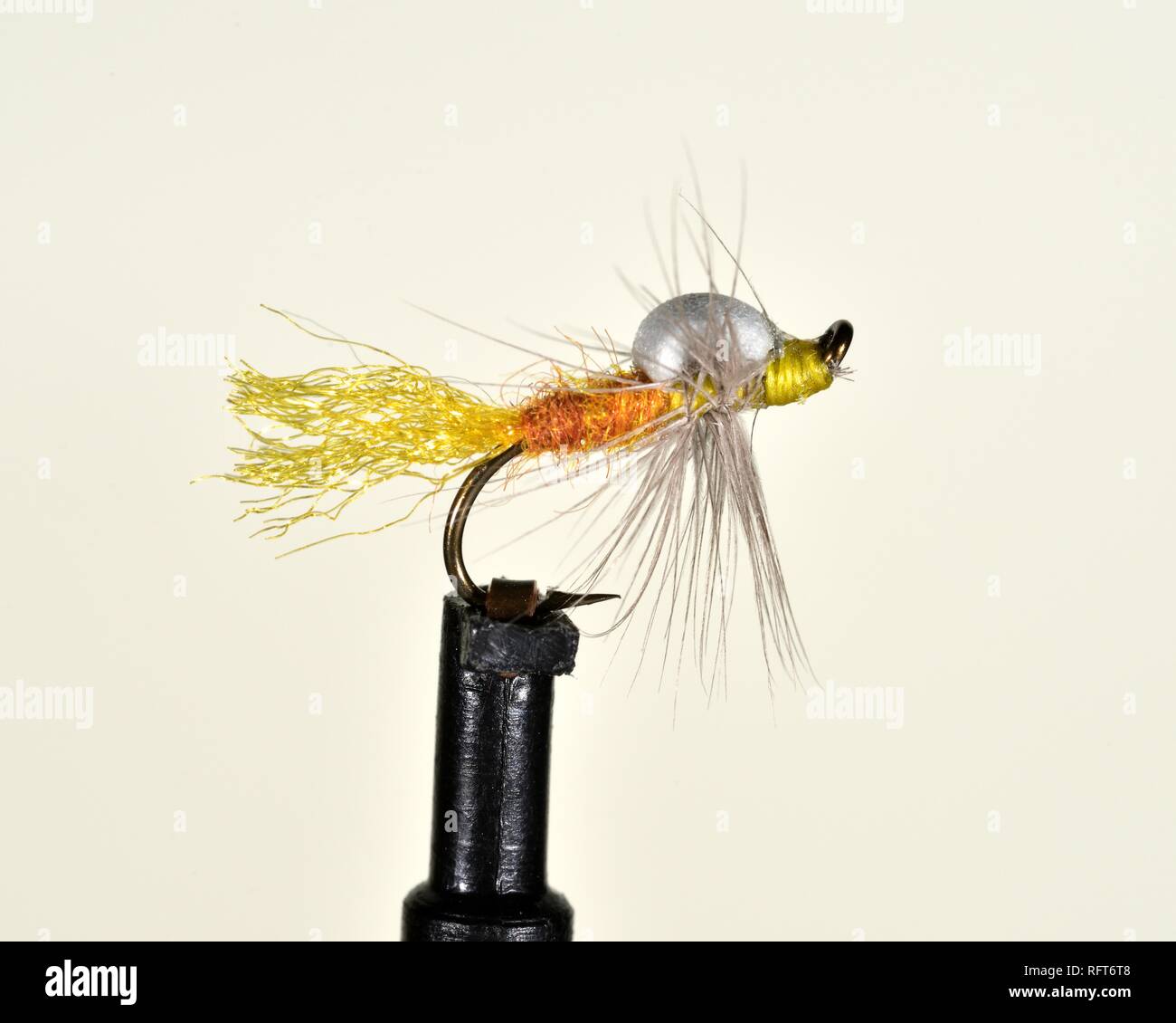 Emerger High Resolution Stock Photography and Images - Alamy