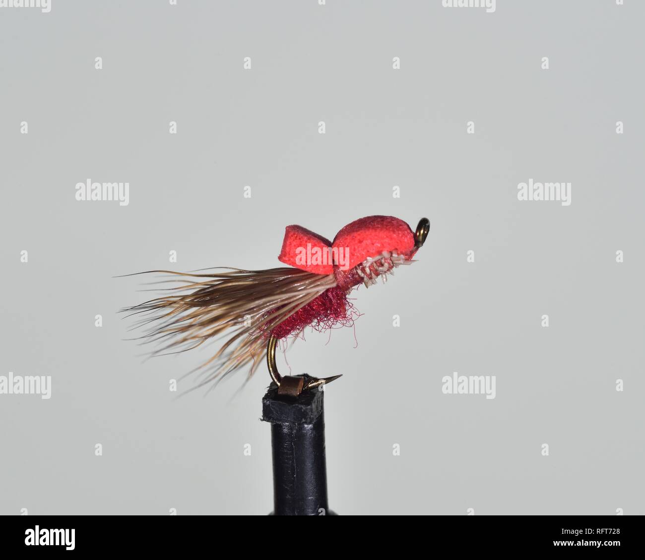 Foam trout fly hi-res stock photography and images - Alamy