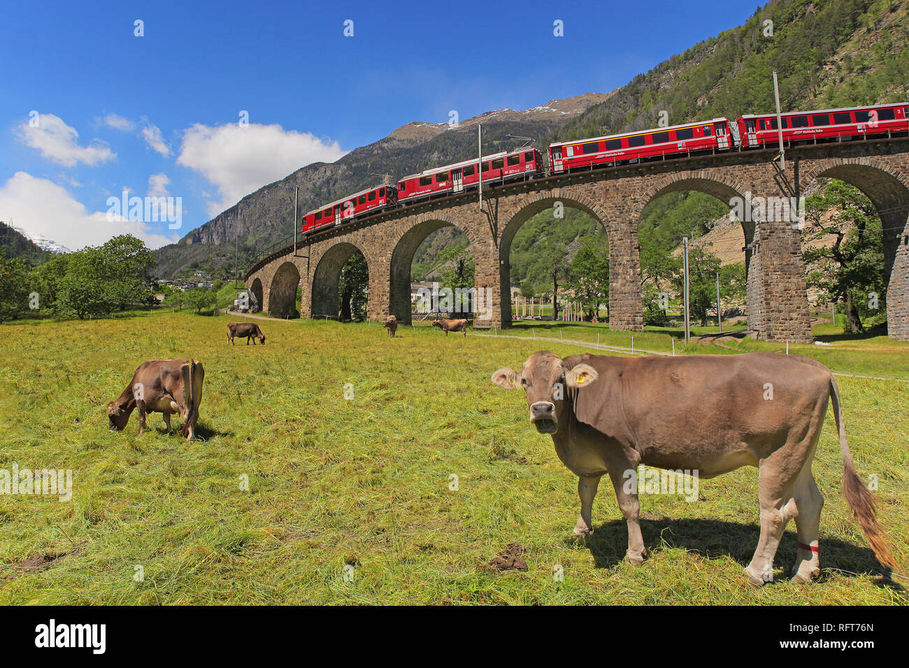 The Bernina Express, Viaduct of Brusio, UNESCO World Heritage Site ...