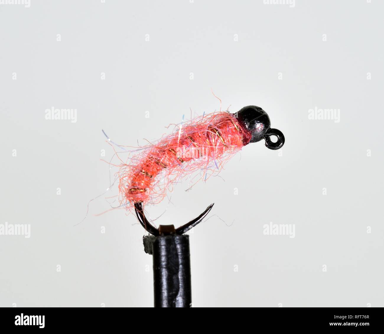 Black beaded Pink shrimp trout fly Stock Photo - Alamy