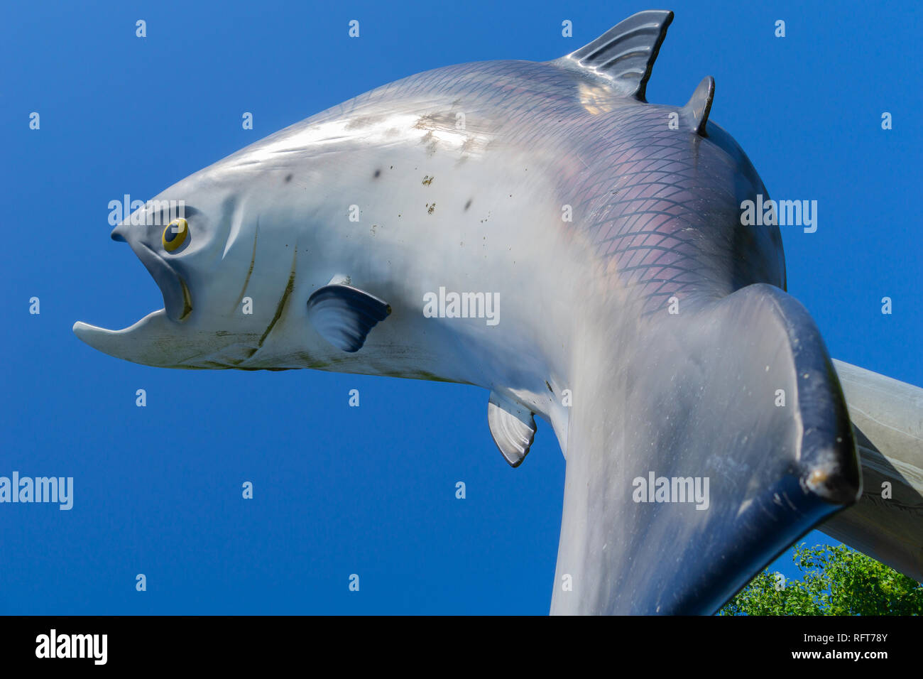 Giant leaping salmon at Rakaia famous welcome at entrance to township ...