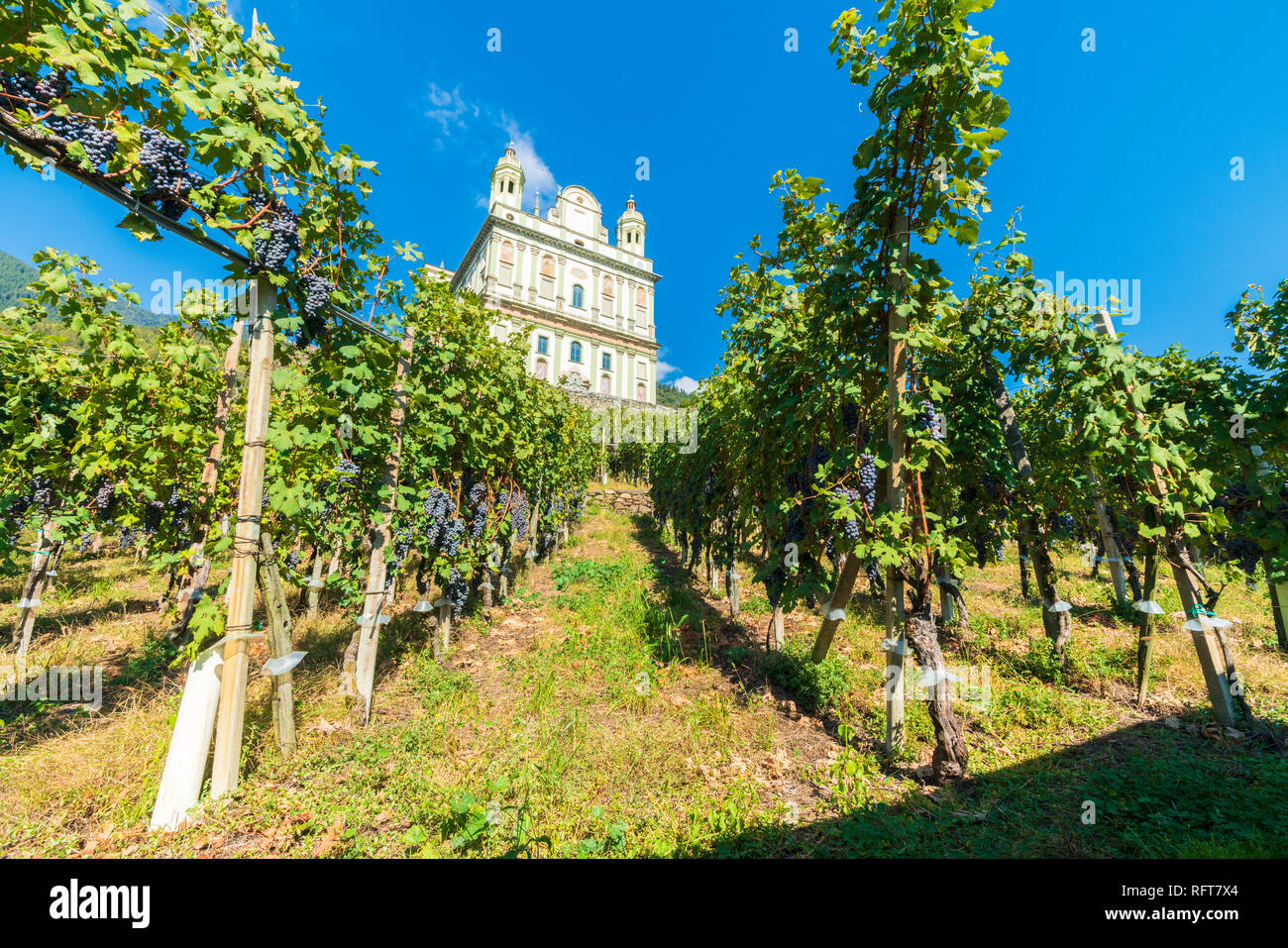 Culture cultural heritage viniculture hi-res stock photography and ...