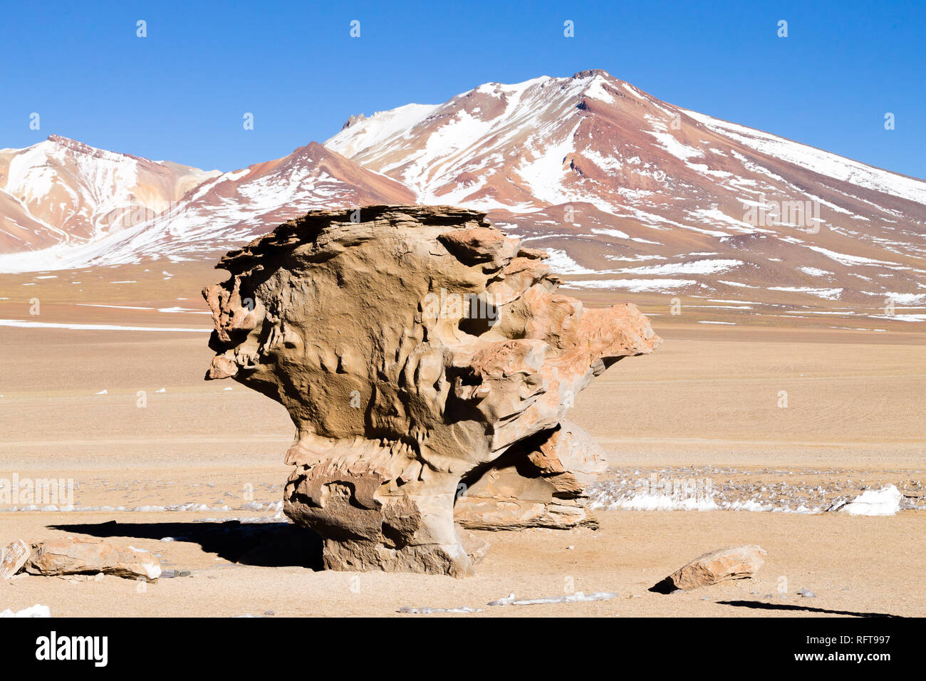 Stone Tree rock, Bolivia. Bolivian landmark. Arbol de Piedra Stock ...