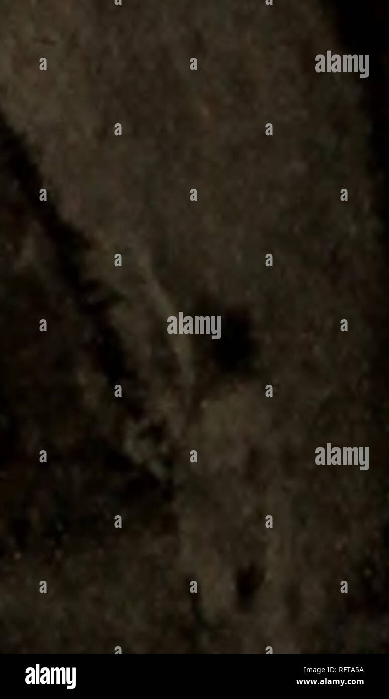 Shannon mill hi-res stock photography and images - Alamy