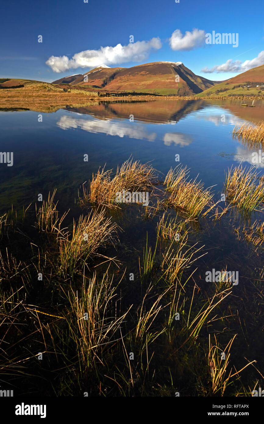 Lonscale Fell and Skiddaw reflected in the still water of Tewet Tarn ...