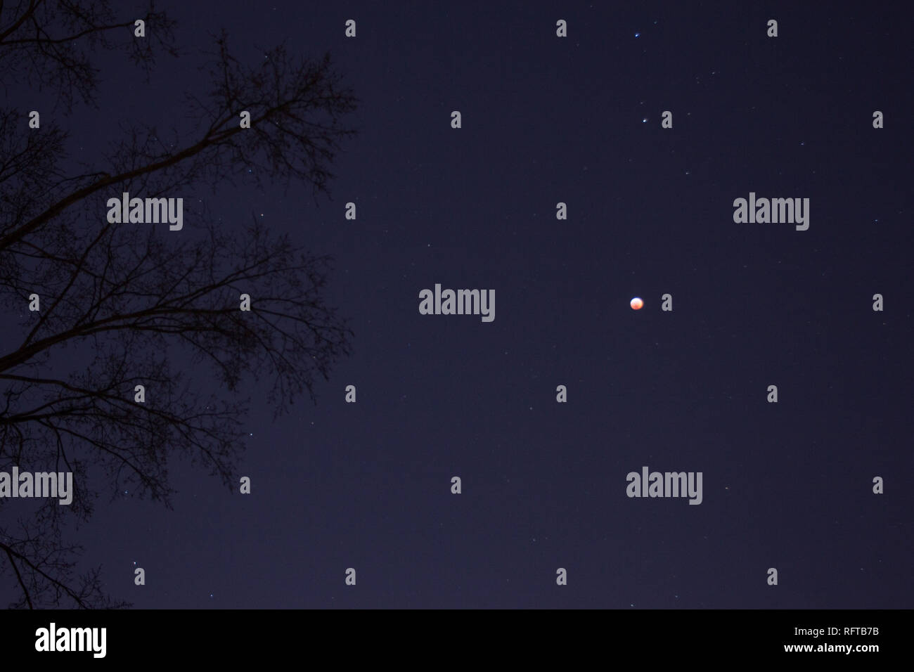 Lunar Eclipse, Jan 20-21, 2019 Stock Photo - Alamy