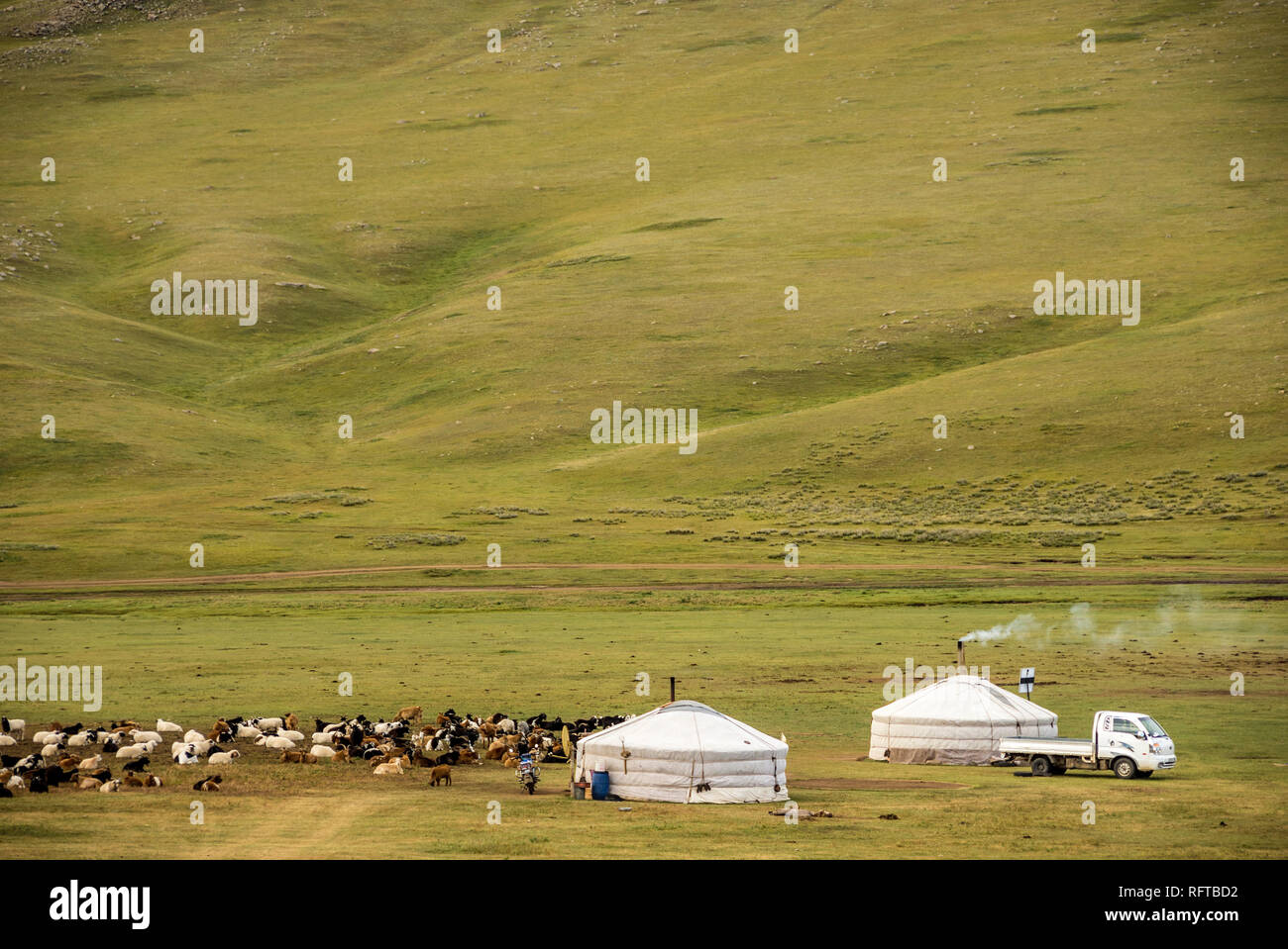 Nomadic herders' ger camp on Steppes grasslands of Mongolia, Asia Stock ...
