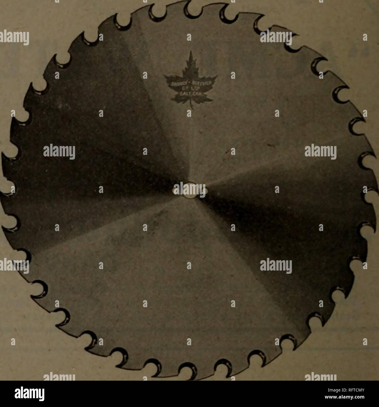 . Canadian forest industries July-December 1919. Lumbering; Forests and ...