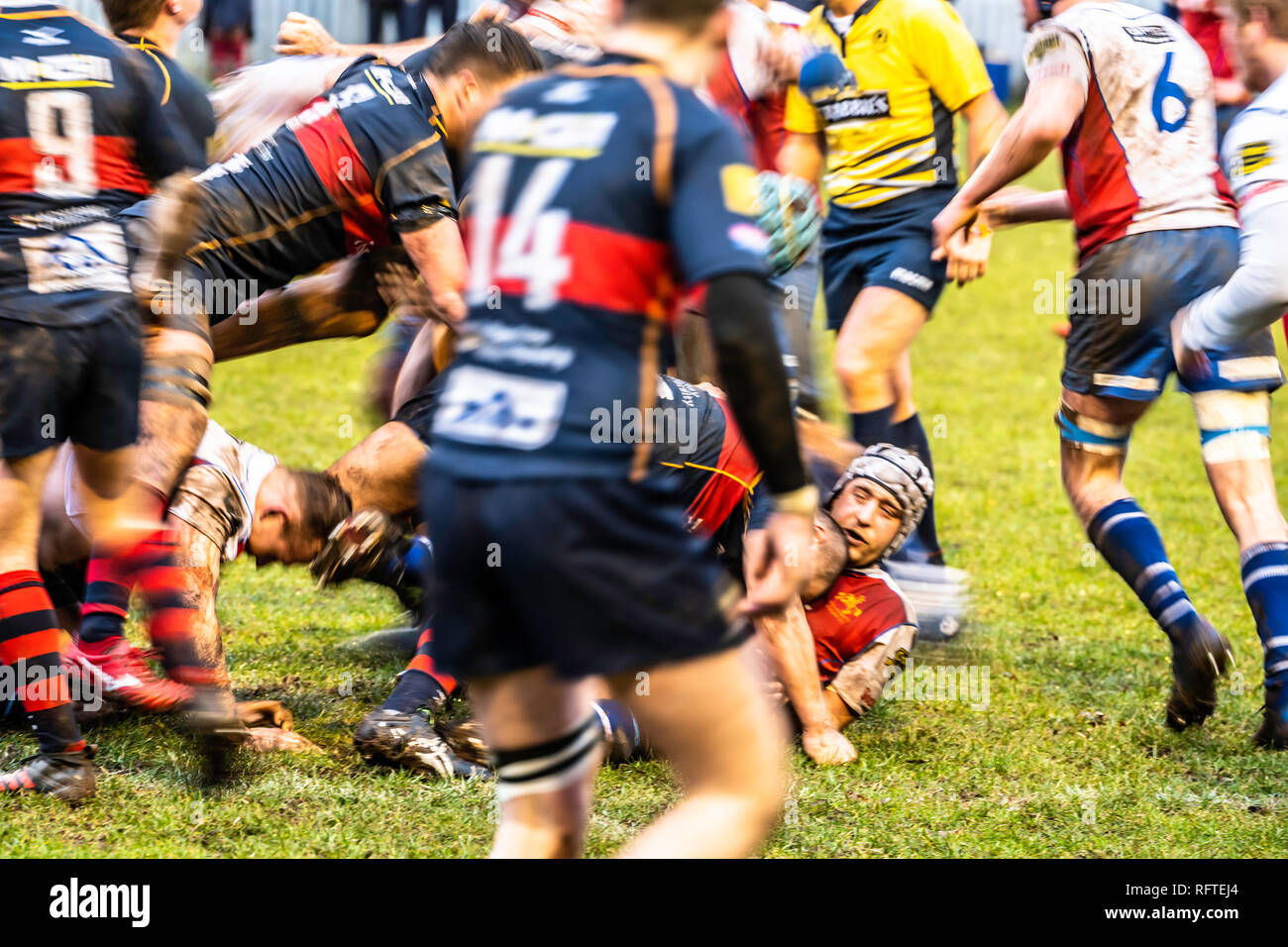 Scrum Halfs High Resolution Stock Photography and Images - Alamy