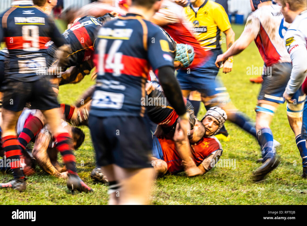 Scrum Halfs High Resolution Stock Photography and Images - Alamy