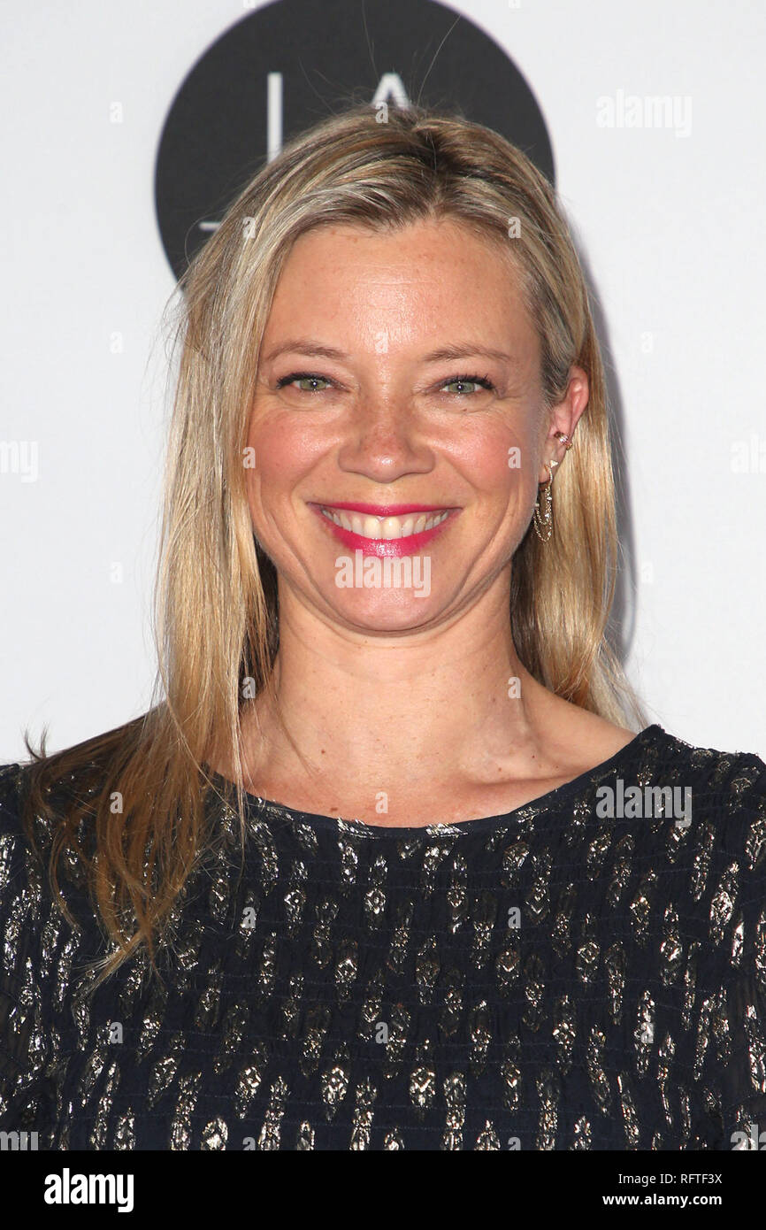 23 January 2019 - Los Angeles, California - Amy Smart. 24th Annual LA ...