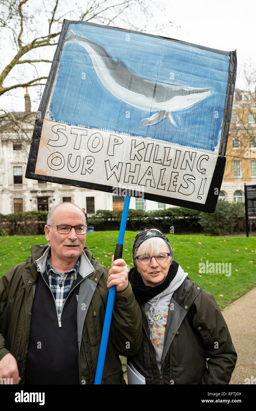 Stop killing our whales hi-res stock photography and images - Alamy