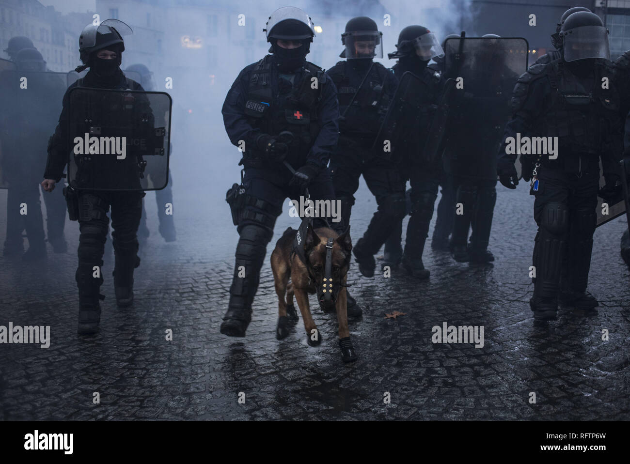 Riot policeman with dog police hi-res stock photography and images - Alamy