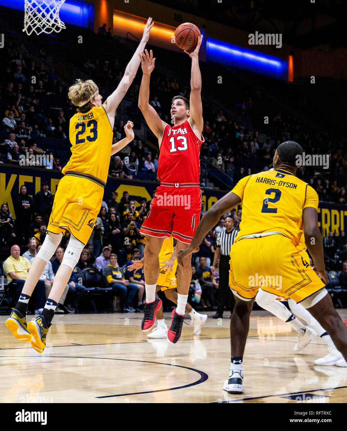 Topalovic hi-res stock photography and images - Alamy